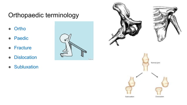 Orthopaedic terminology | PPTX
