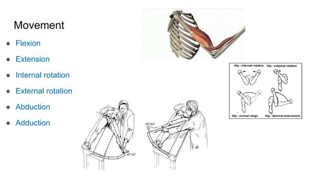 Orthopaedic terminology | PPTX