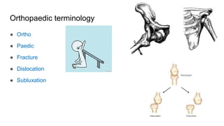 Orthopaedic terminology | PPT