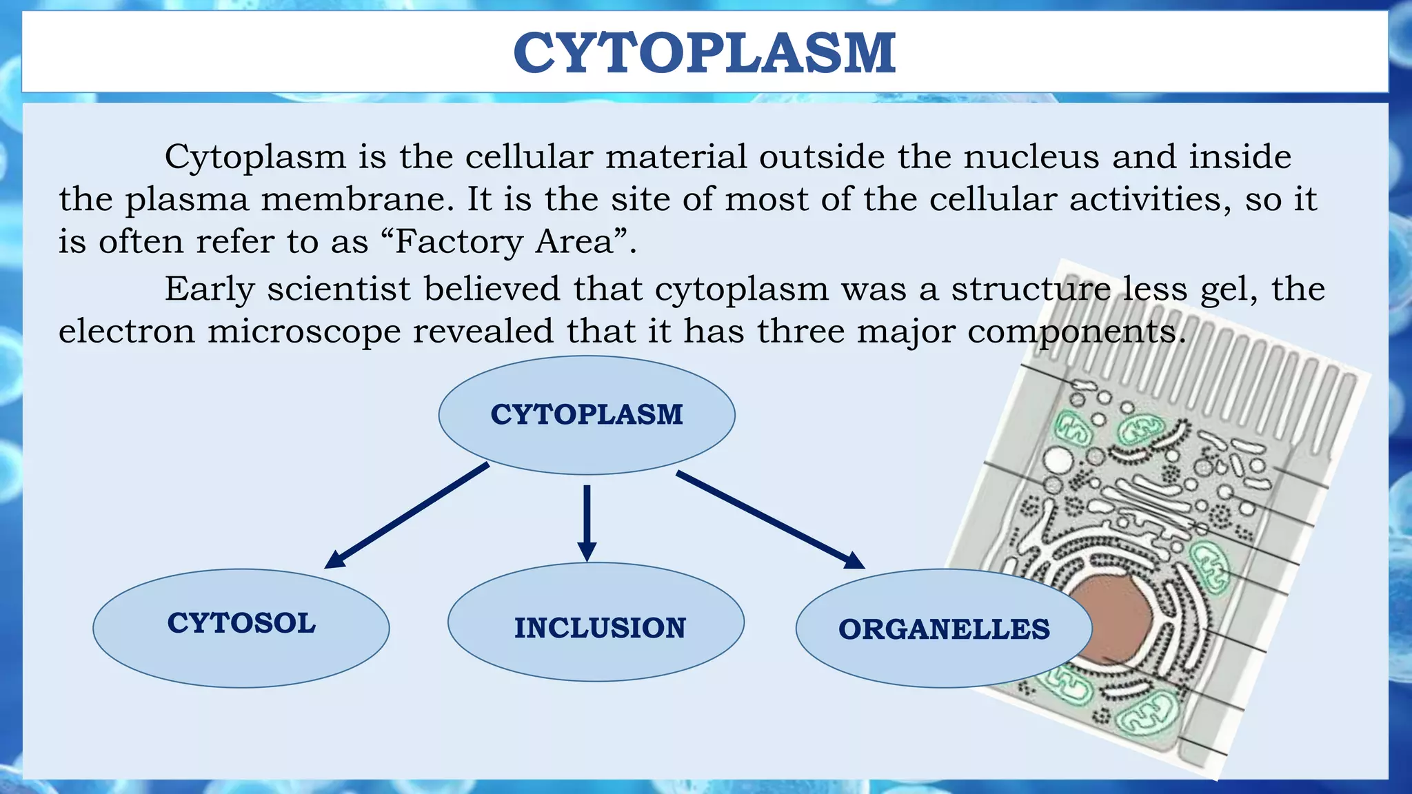 CELL ORGANELLES | PPTX