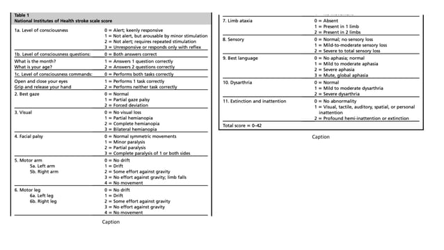 2. Stroke Localisation.pdf