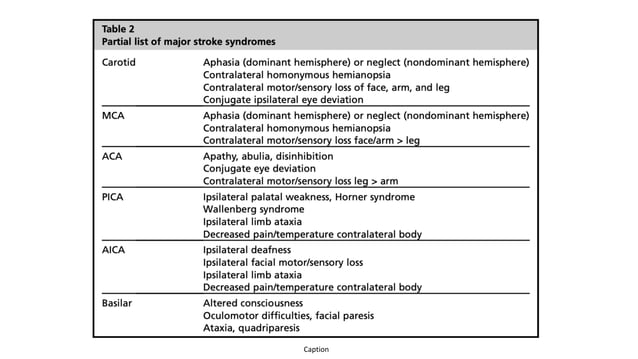 2. Stroke Localisation.pdf