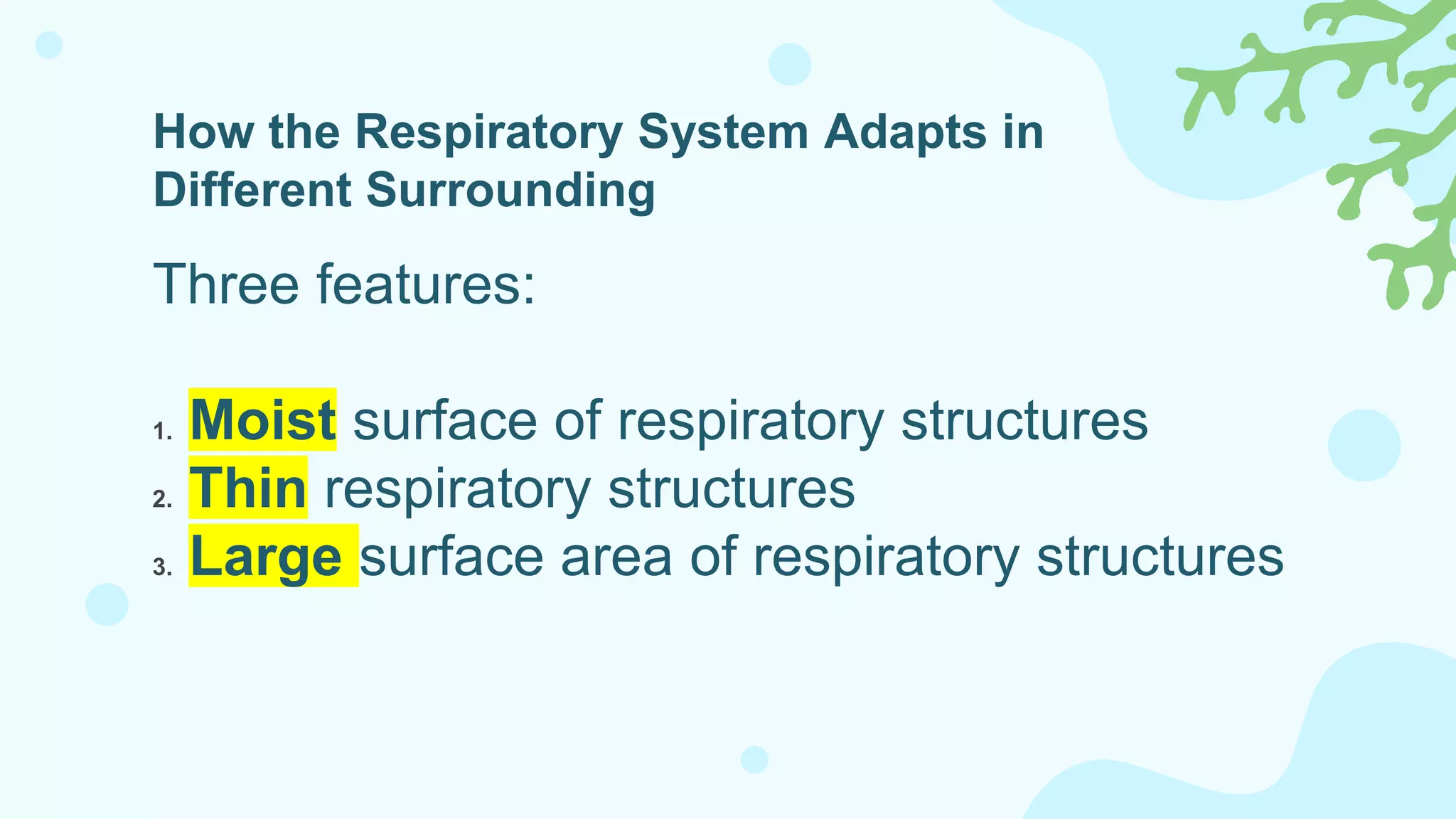2.4 Adaptations in Respiratory System.pptx