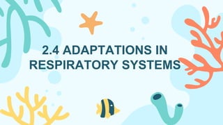 2.4 Adaptations in Respiratory System.pptx