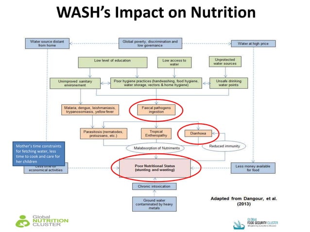 2.3 PPT - Integrated Programming- WASH.pptx | Agriculture | Industries