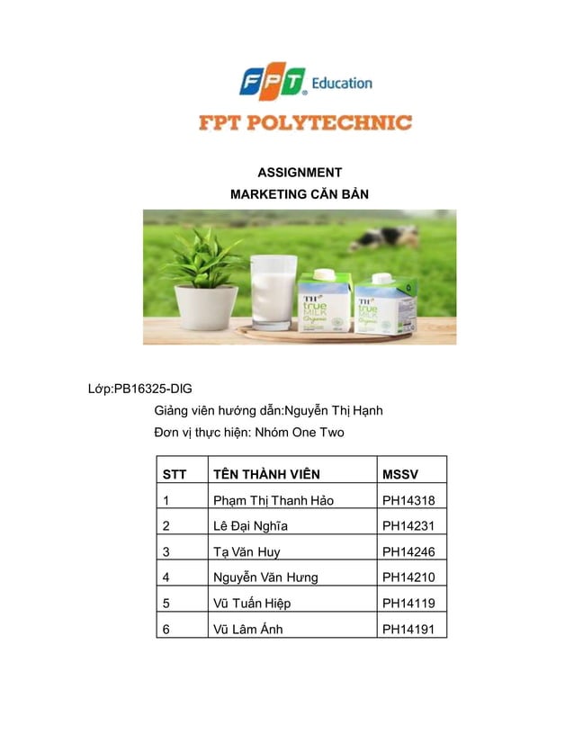 Tiểu luận marketing tại TH TRUEMILK -NHẬN BÀI MIỄN PHÍ ZALO: 0777.149.703