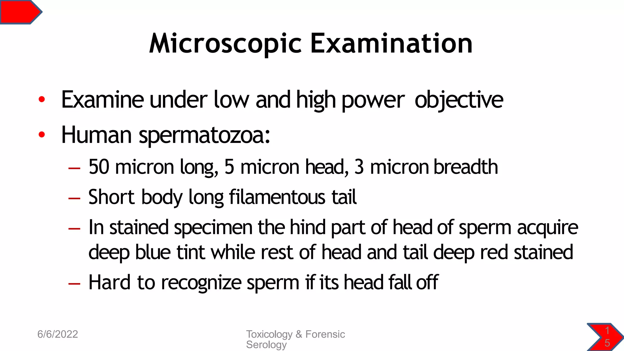 Forensic detection of seminal stains.pptx