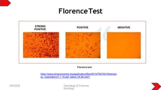 Forensic detection of seminal stains.pptx