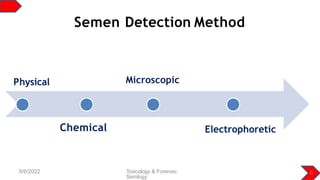 Forensic detection of seminal stains.pptx