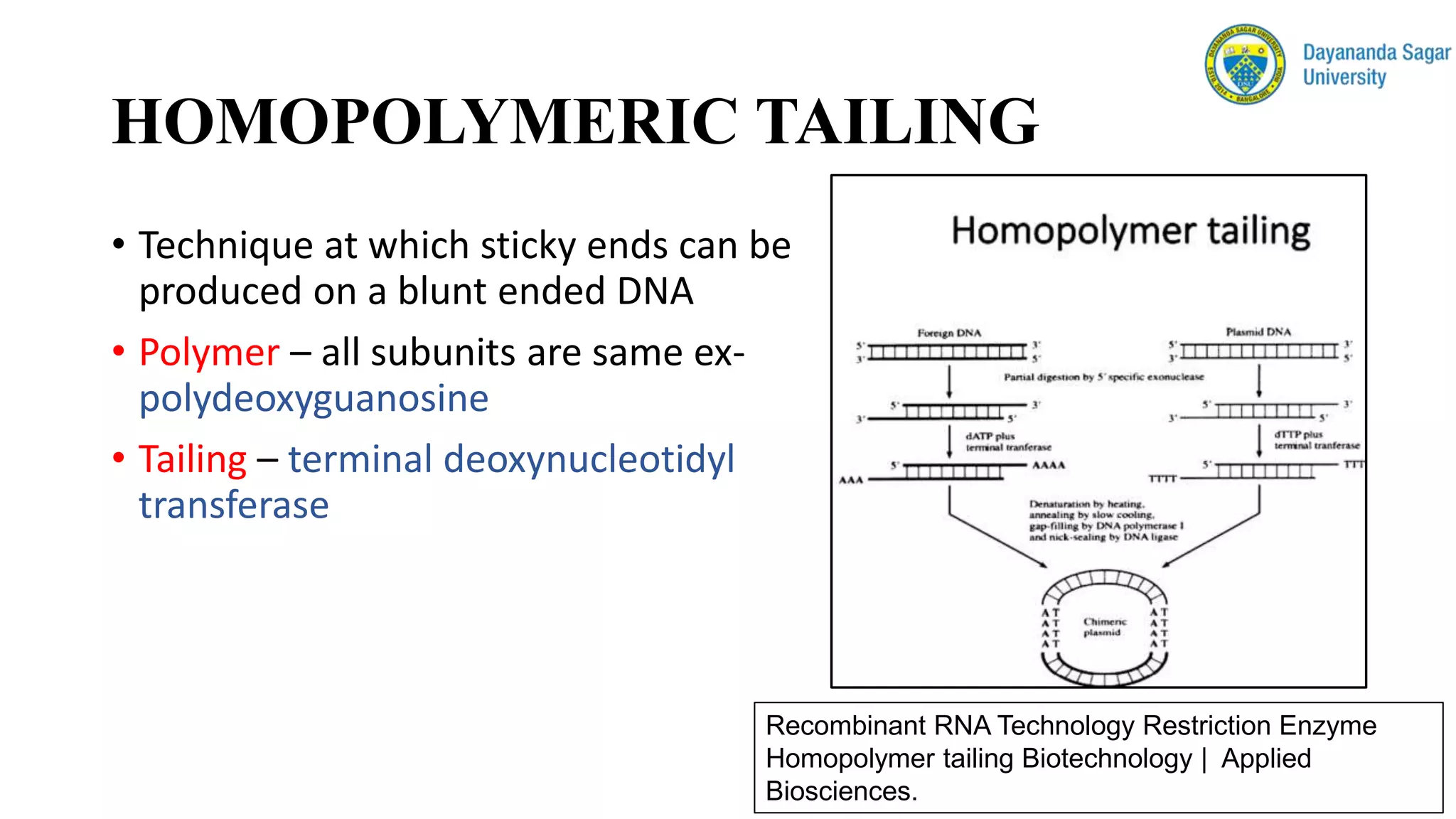 cohesive and blunt end ligation | PPTX