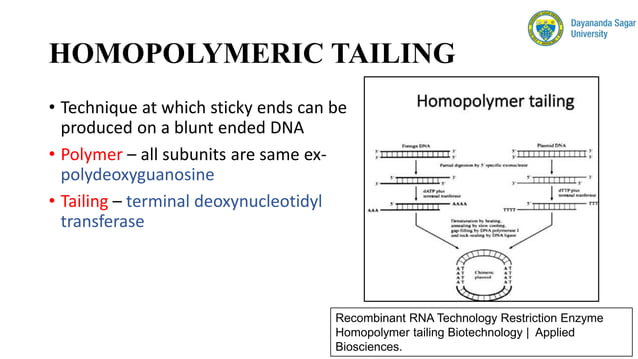 cohesive and blunt end ligation | PPTX | Chemistry | Science