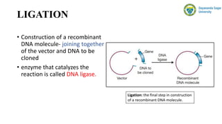 Cohesive Ligation