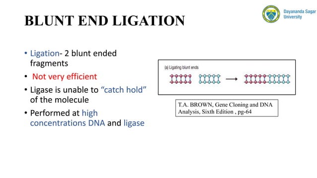 cohesive and blunt end ligation | PPTX | Chemistry | Science
