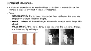COGNITIVEPsychology.pptx