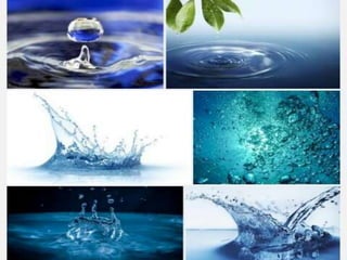 2. Types of Terrestrial Motion.pptx