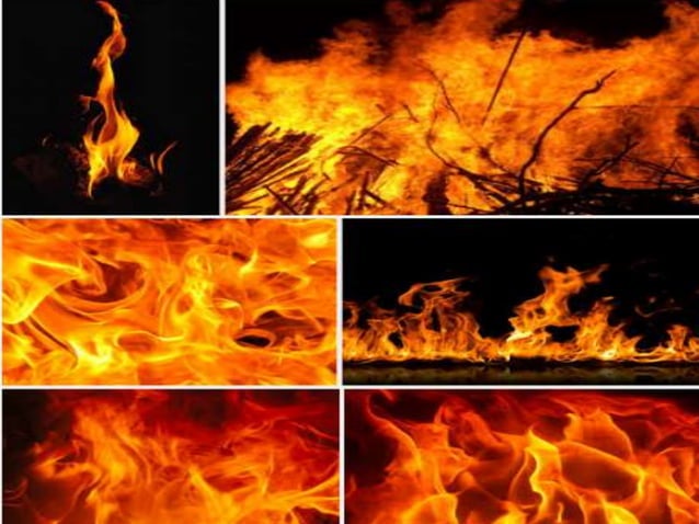 2. Types of Terrestrial Motion.pptx | Physics | Science