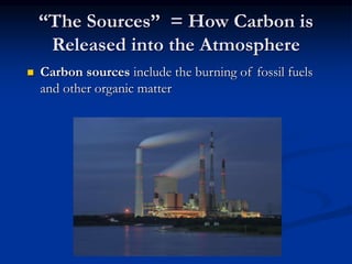 The Carbon Cycle - Power Point.ppt