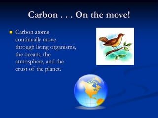 The Carbon Cycle - Power Point.ppt