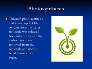 The Carbon Cycle - Power Point.ppt