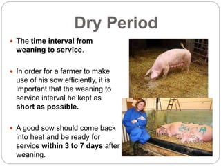2. Dry Period.pptx