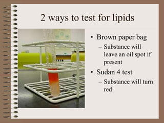 2.3 Biomolecules.ppt
