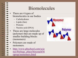 2.3 Biomolecules.ppt