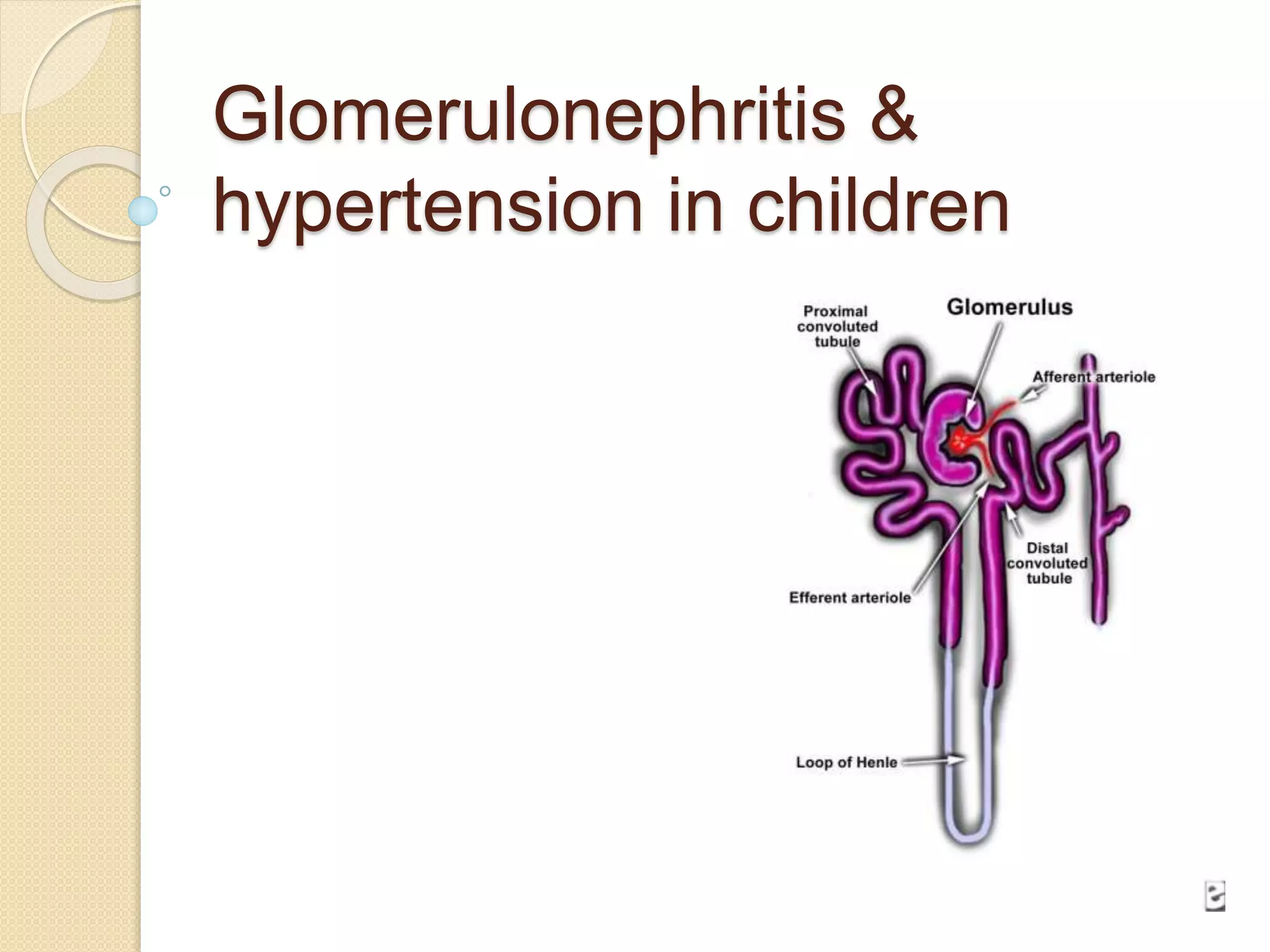 2. Glomerulonephritis & hypertension in children 01.04.15 lecture.pptx
