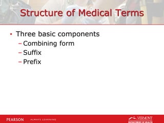 2.terminology transition.ppt
