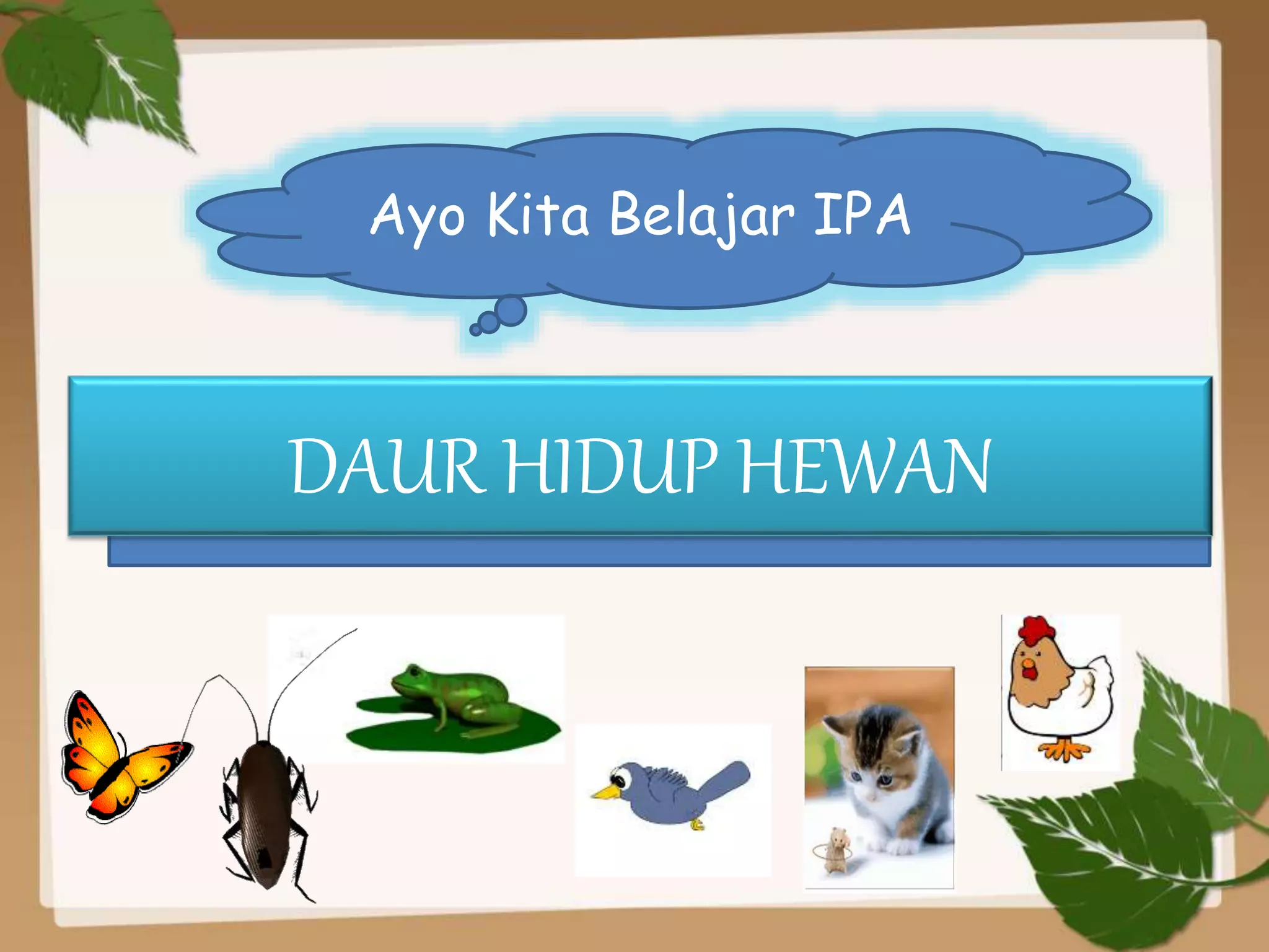 BAHAN AJAR SIKLUS HIDUP.ppt