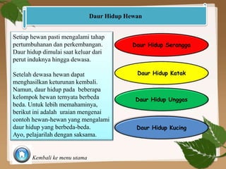 BAHAN AJAR SIKLUS HIDUP.ppt