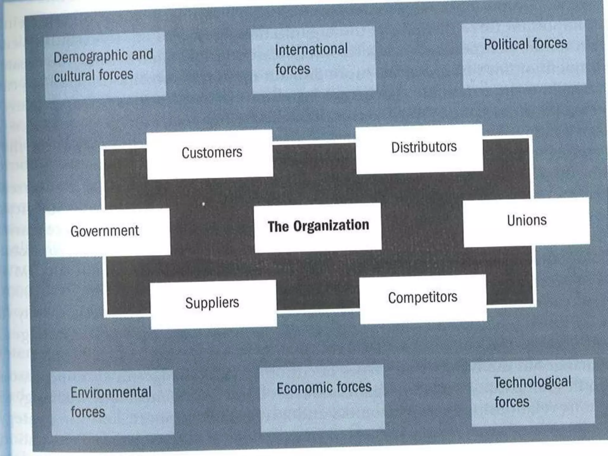 2.the external environment.ppt