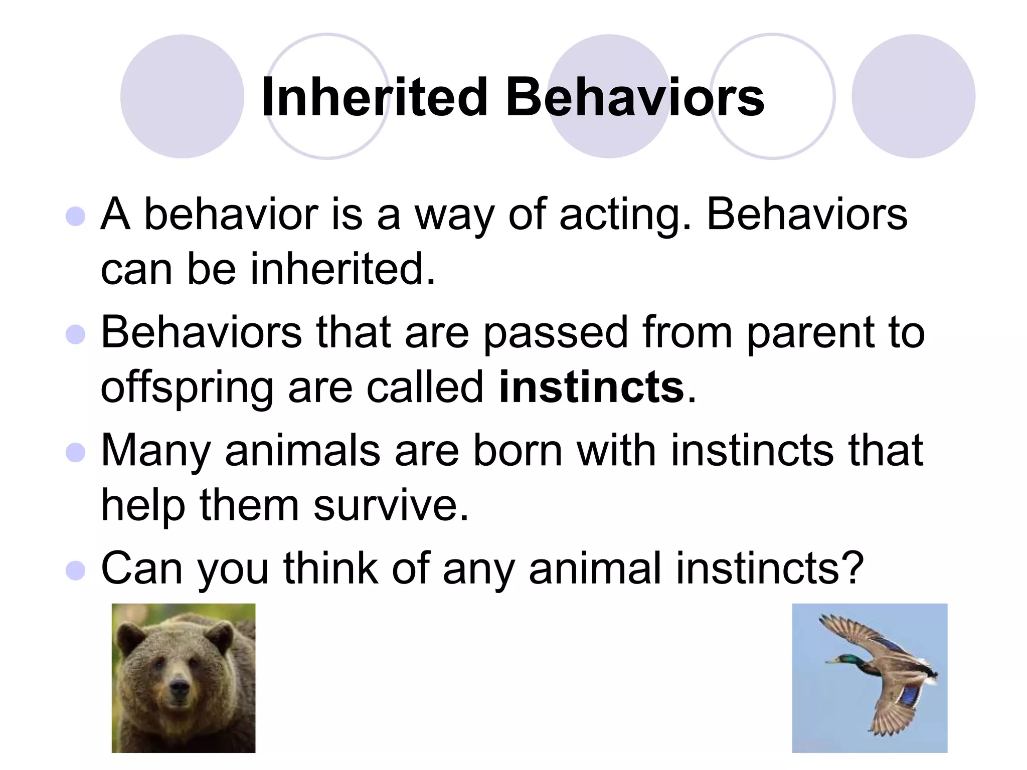 2._Inherited_Traits_and_Learned_Behaviors_PPT.pptx