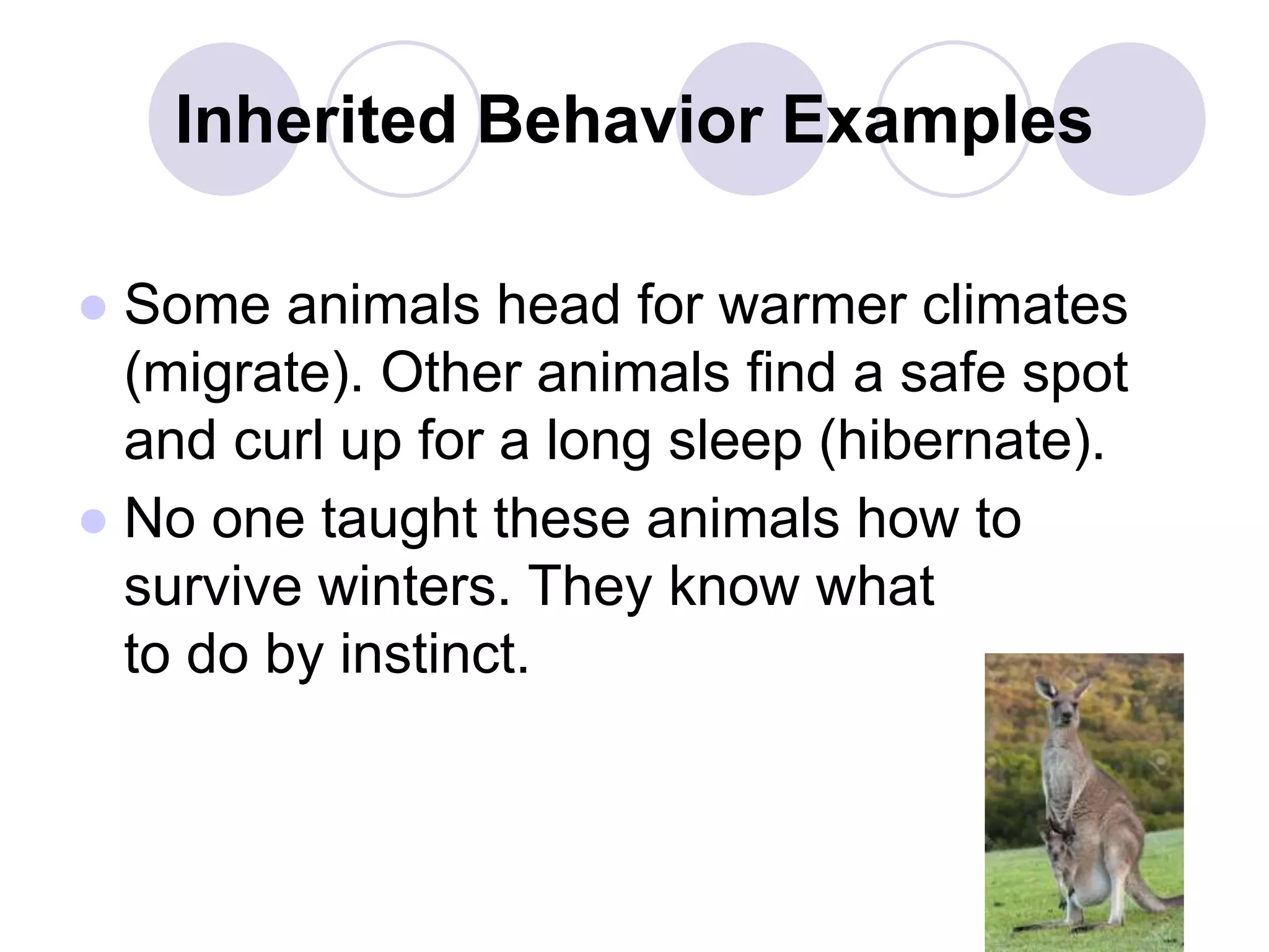 2._Inherited_Traits_and_Learned_Behaviors_PPT.pptx