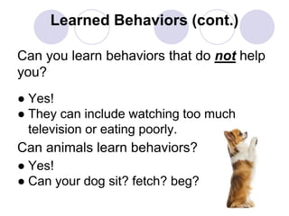 2._Inherited_Traits_and_Learned_Behaviors_PPT.pptx