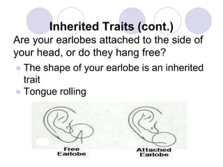 2._Inherited_Traits_and_Learned_Behaviors_PPT.pptx