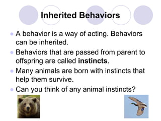 2._Inherited_Traits_and_Learned_Behaviors_PPT.pptx