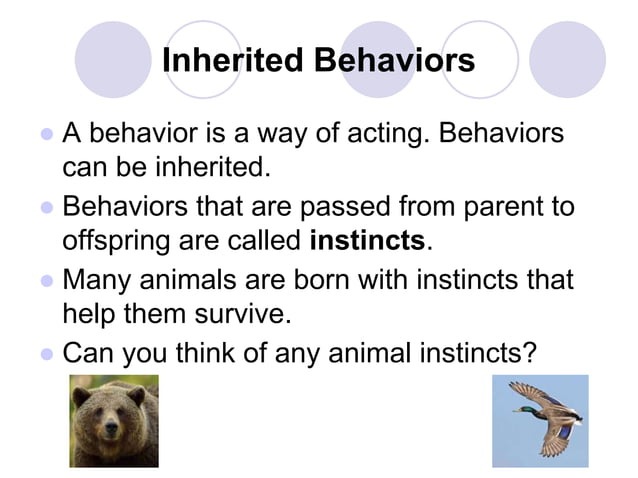 2._Inherited_Traits_and_Learned_Behaviors_PPT.pptx