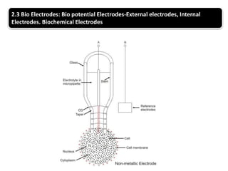 2.3 bio elctrodes.pptx | Chemistry | Science