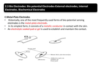 2.3 bio elctrodes.pptx | Chemistry | Science
