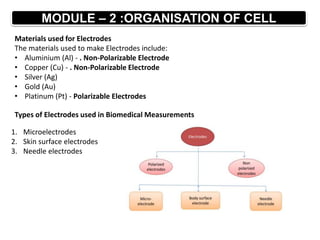2.3 bio elctrodes.pptx | Chemistry | Science