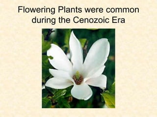 2.ppt | Geography | Science