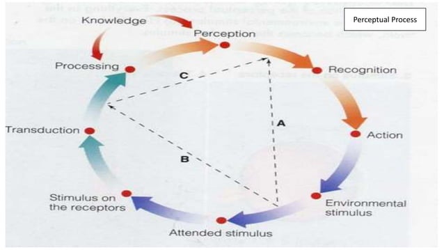 2. Perception & learning.pptx