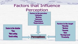 2. Perception & learning.pptx