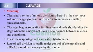 CLEAVAGE | PPT