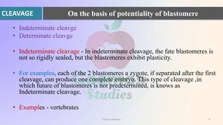 CLEAVAGE | PPT