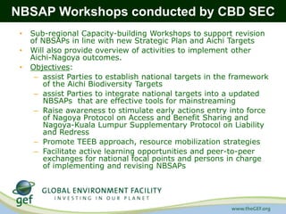 2._COP_report_-_biodiversity_-_English.ppt