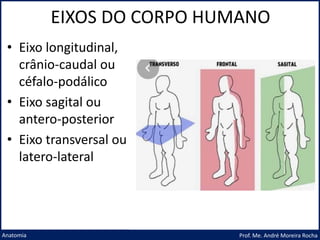 Eixo Longitudinal E Eixo Transversal