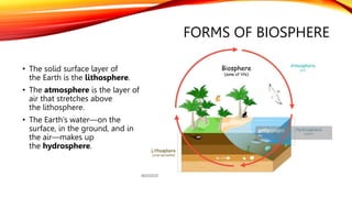 2. Biosphere.pptx