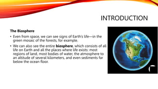 2. Biosphere.pptx
