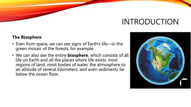 2. Biosphere.pptx